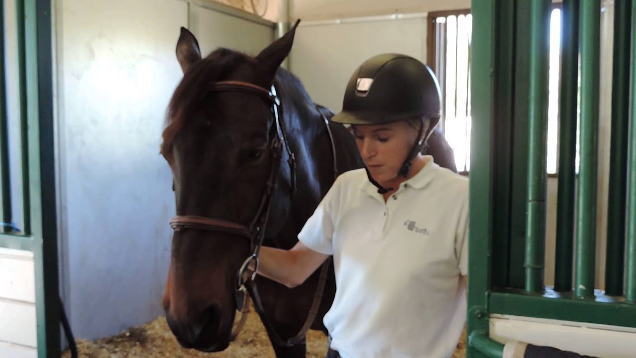 Stefanie Saperstein interview. - YouTube