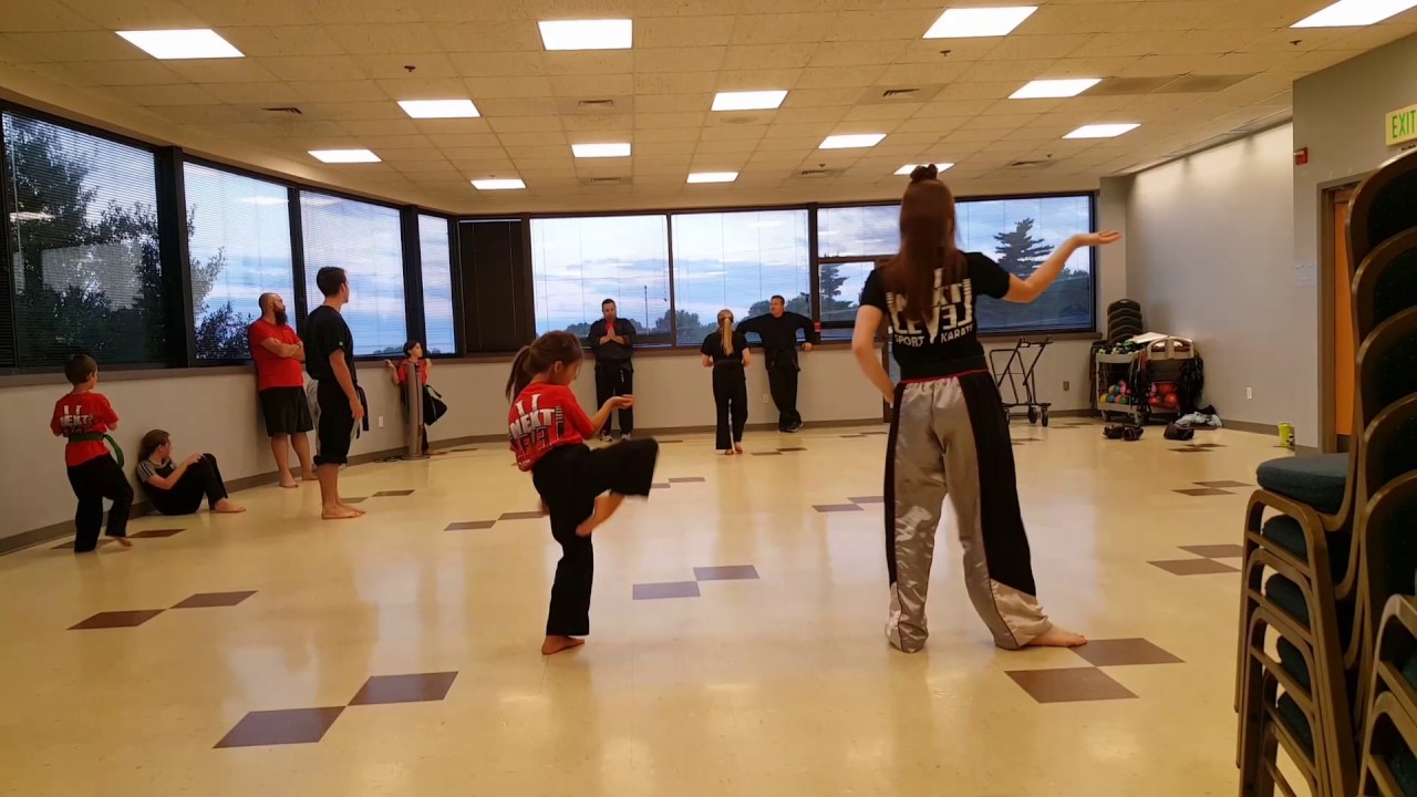 Next Level Karate, Springfield, Missouri - YouTube