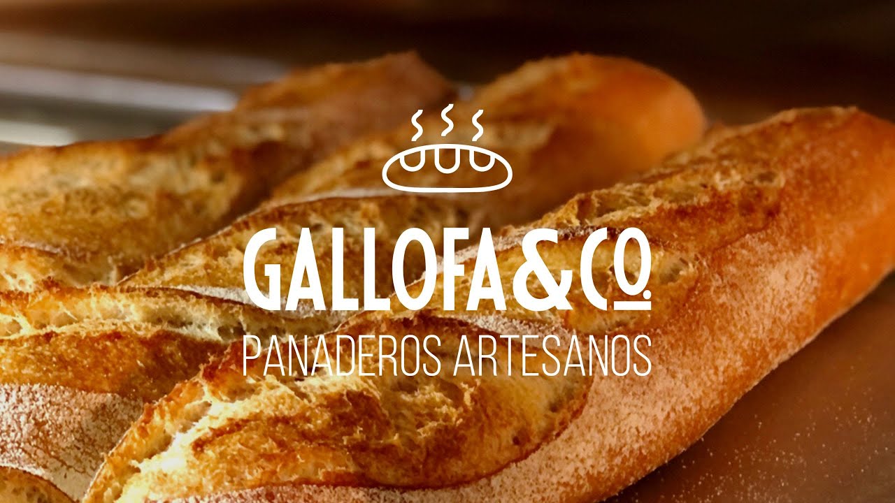 La Hora de Walter - Entrevista Gallofa & Co - YouTube