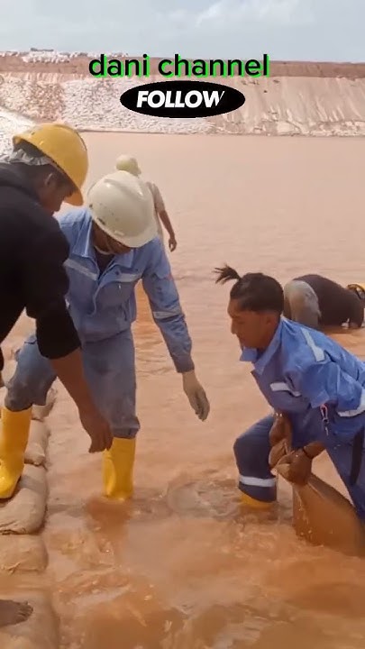 tetap semangat satu tujuan#shorts #dani channel - YouTube