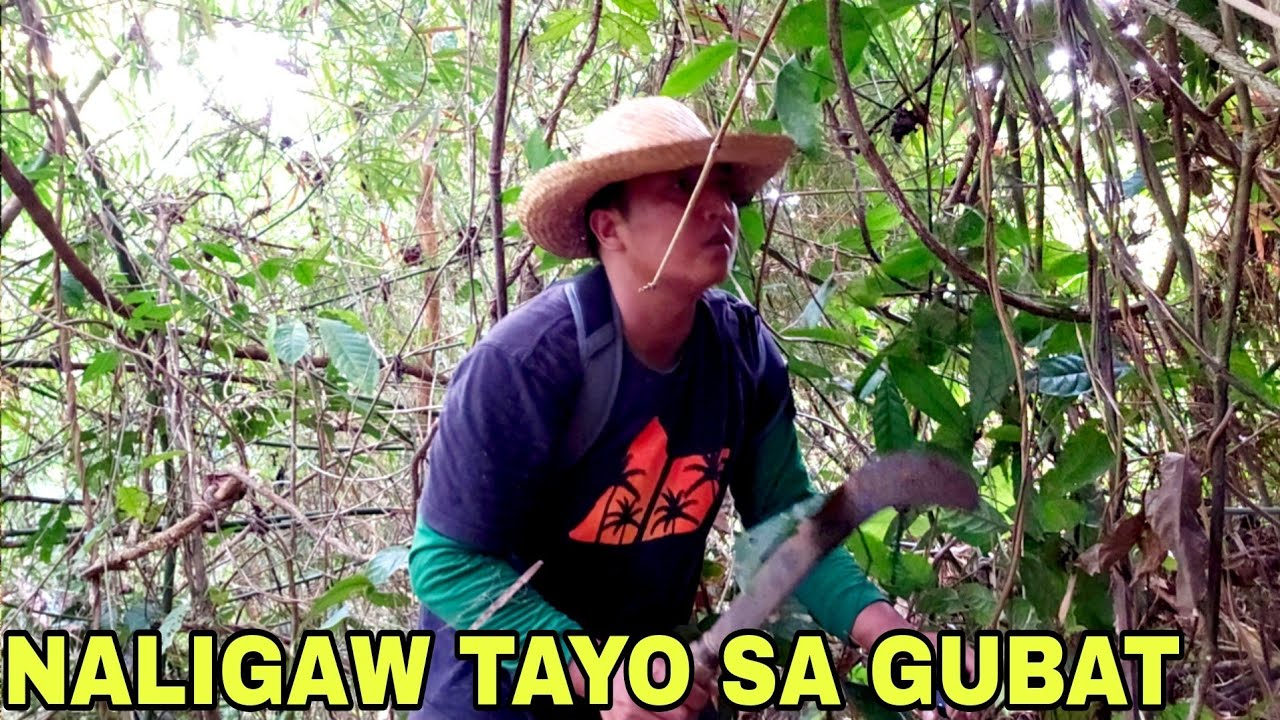 Naligaw na gubat Pinasok natin gagawing halamanan virgin forest pala ...