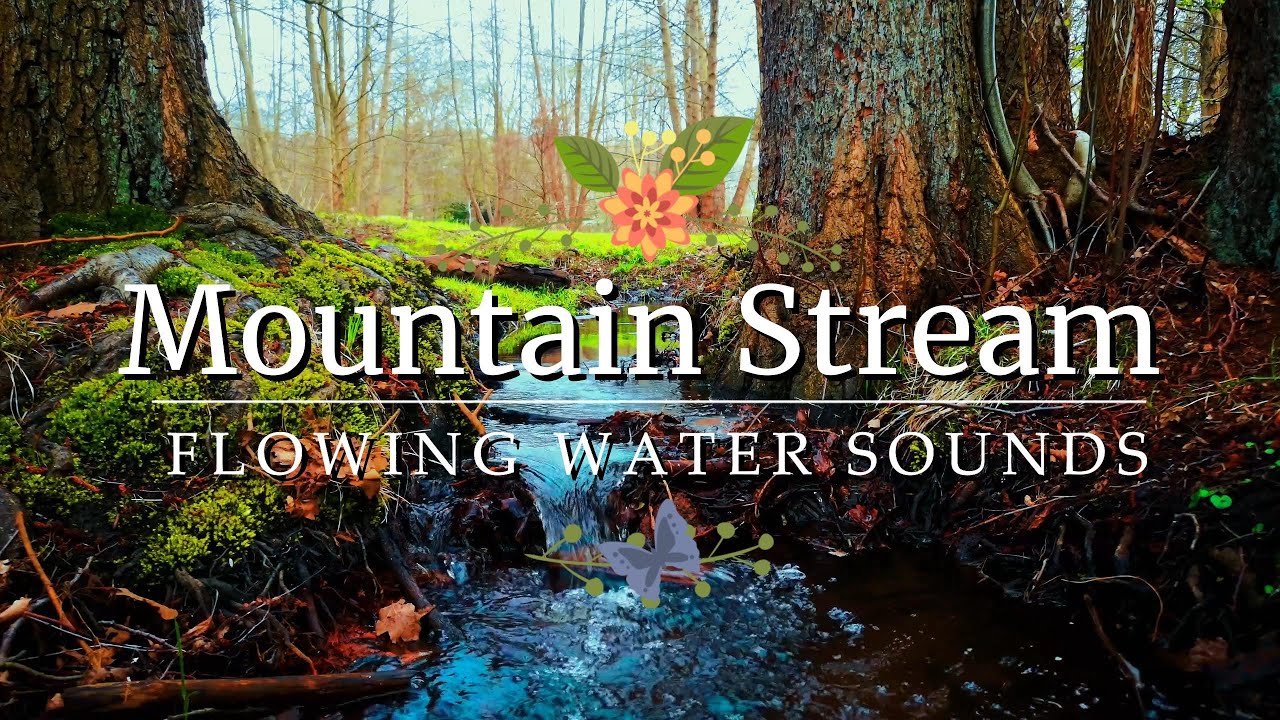 Mountain Stream Sights and Sounds for Sleeping - Running Water with ...