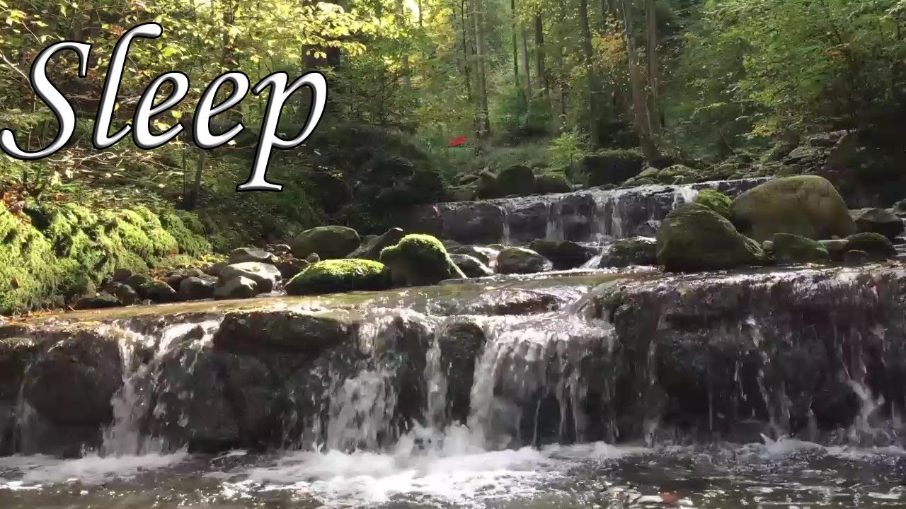 8 HOURS Relaxing Sleep Music With Nature Sounds: Meditation Music,Deep ...