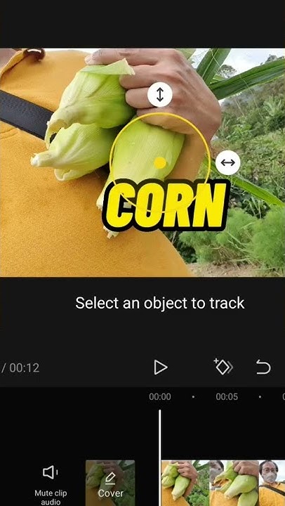 How to Make Text Follow an Object in Capcut - Capcut Edit Tutorial # ...