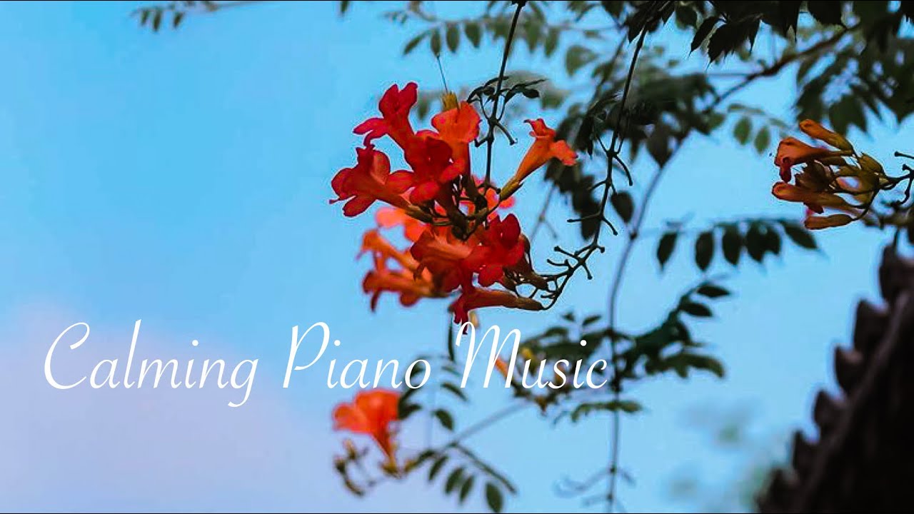 🎧 𝗖𝗮𝗹𝗺𝗶𝗻𝗴 𝗣𝗶𝗮𝗻𝗼 𝗠𝘂𝘀𝗶𝗰 - 𝗣𝗶𝗮𝗻𝗼 𝗠𝘂𝘀𝗶𝗰 𝗳𝗼𝗿 𝗦𝘁𝘂𝗱𝘆𝗶𝗻𝗴,𝗥𝗲𝗮𝗱𝗶𝗻𝗴 𝗮𝗻𝗱 𝗥𝗲𝗹𝗮𝘅𝗶𝗻𝗴 ...