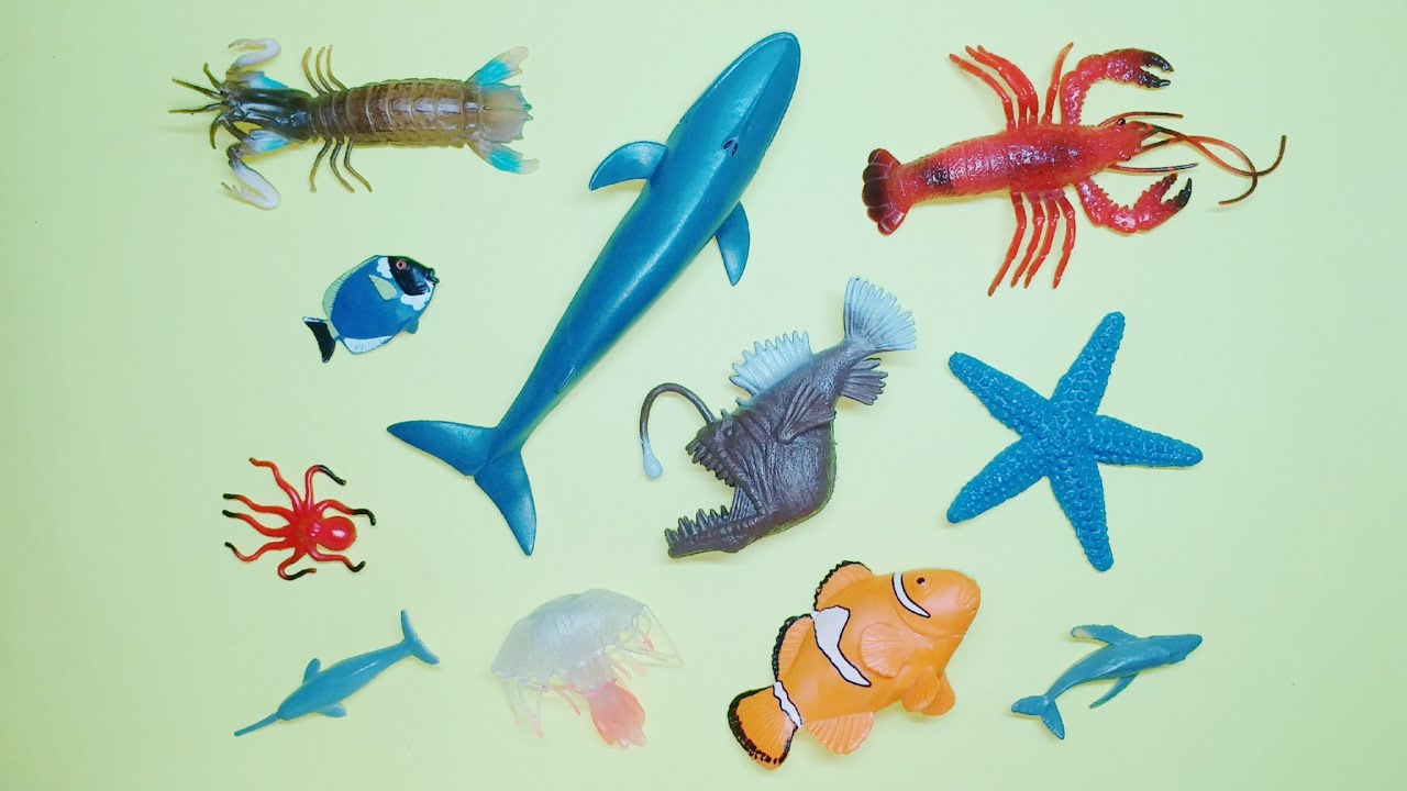 Hunting Found Sea Animals Clown Fish, Hammerhead Shark, Orca Whale ...