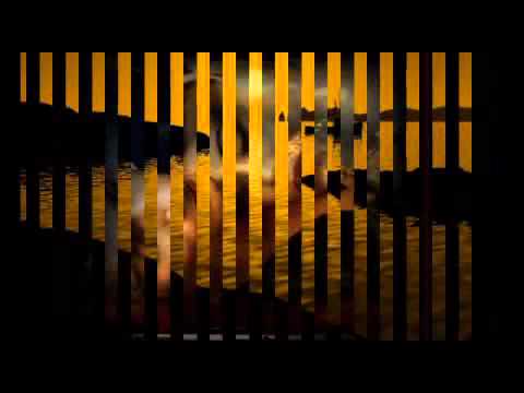 Hakan Aysev şu dünyaya tekrar gelsem