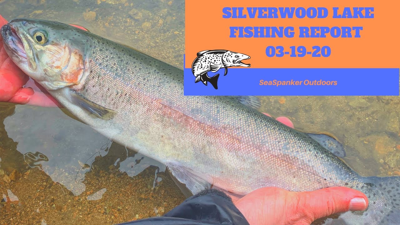 Silverwood Lake Fishing Report