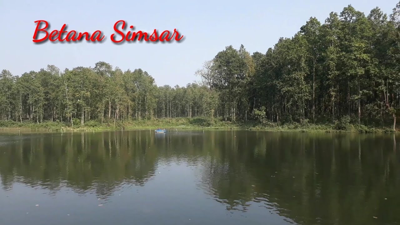बेतना शिम्सार बेल्बारी माेरङ् || betana simsar belbari morang - YouTube