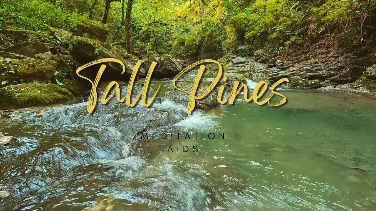 😴🥱🧘‍♀️ 2 HOUR Relaxation Meditation Sleep video - Gentle Stream - YouTube