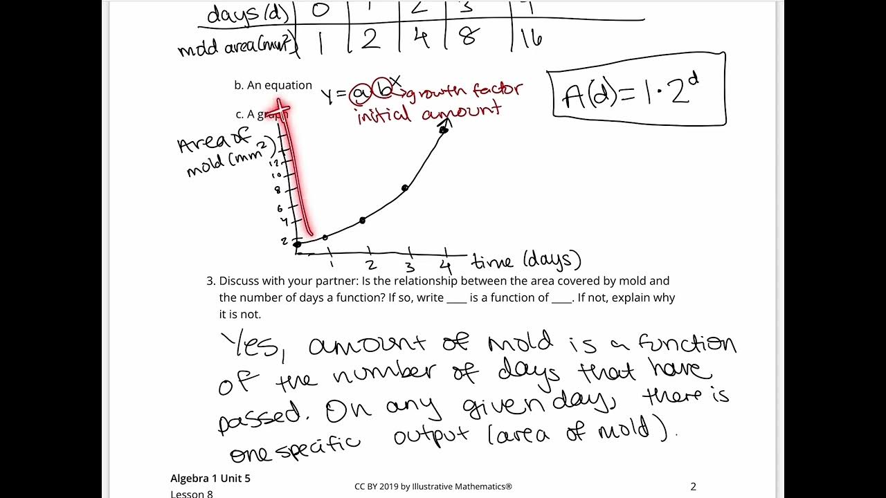 IM Algebra 1 Unit 5 Lesson 8 - YouTube