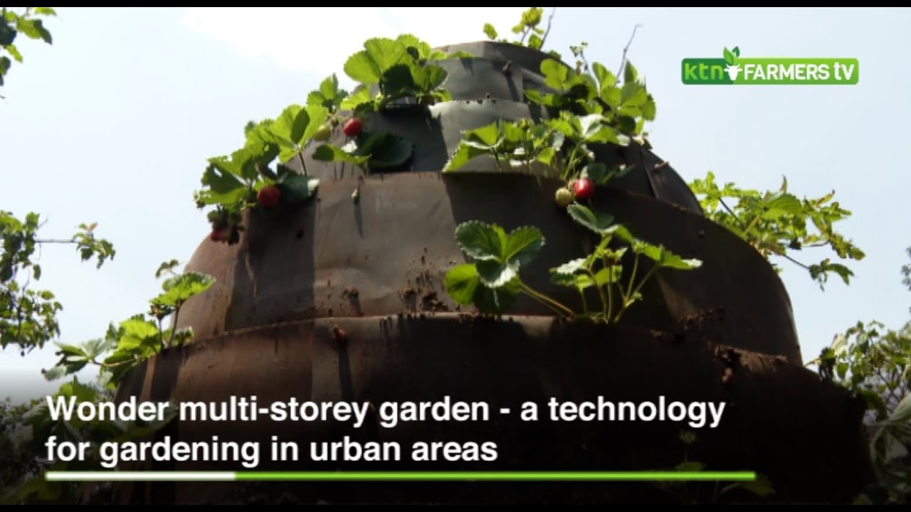 Wonder multi storey garden - a technology for gardening in urban areas ...