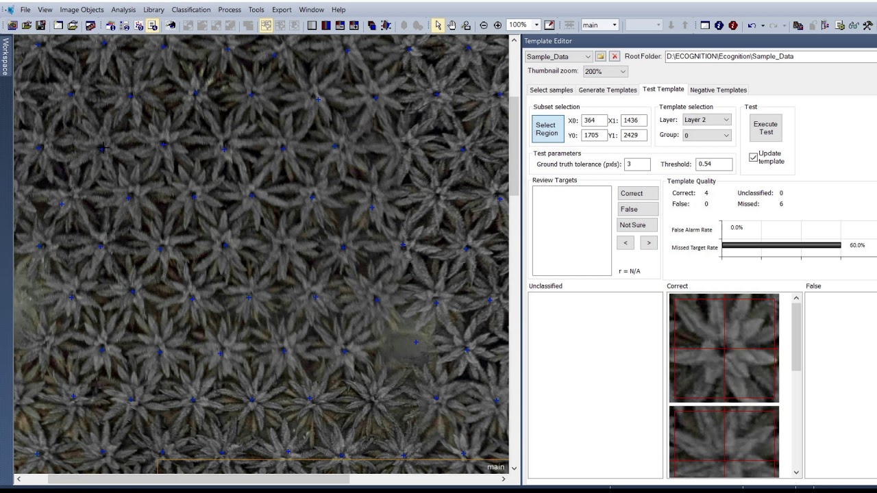 Ecognition Tree Counting - YouTube