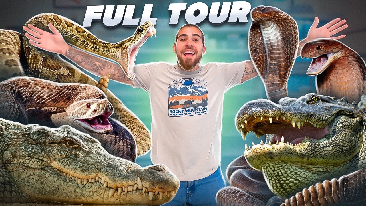 FULL TOUR Of My VENOMOUS SNAKE and CROCODILE Collection!!! - YouTube