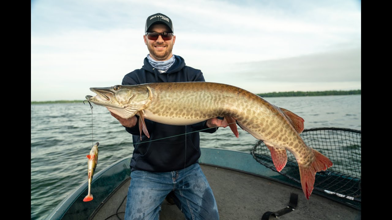 Finding Fins Show #16: Fall Muskies - YouTube