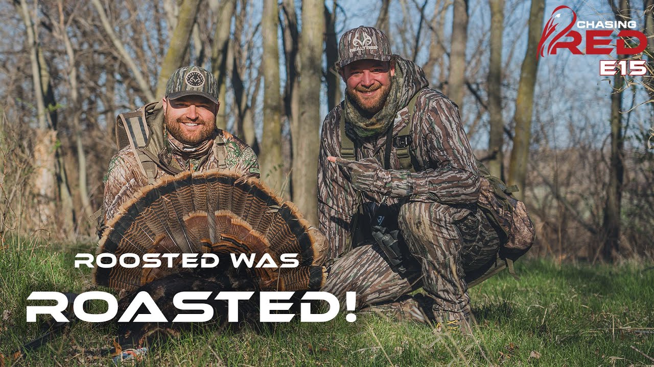 PUBLIC LAND, Roosted To Roasted! #turkeyhunting #hunting - YouTube