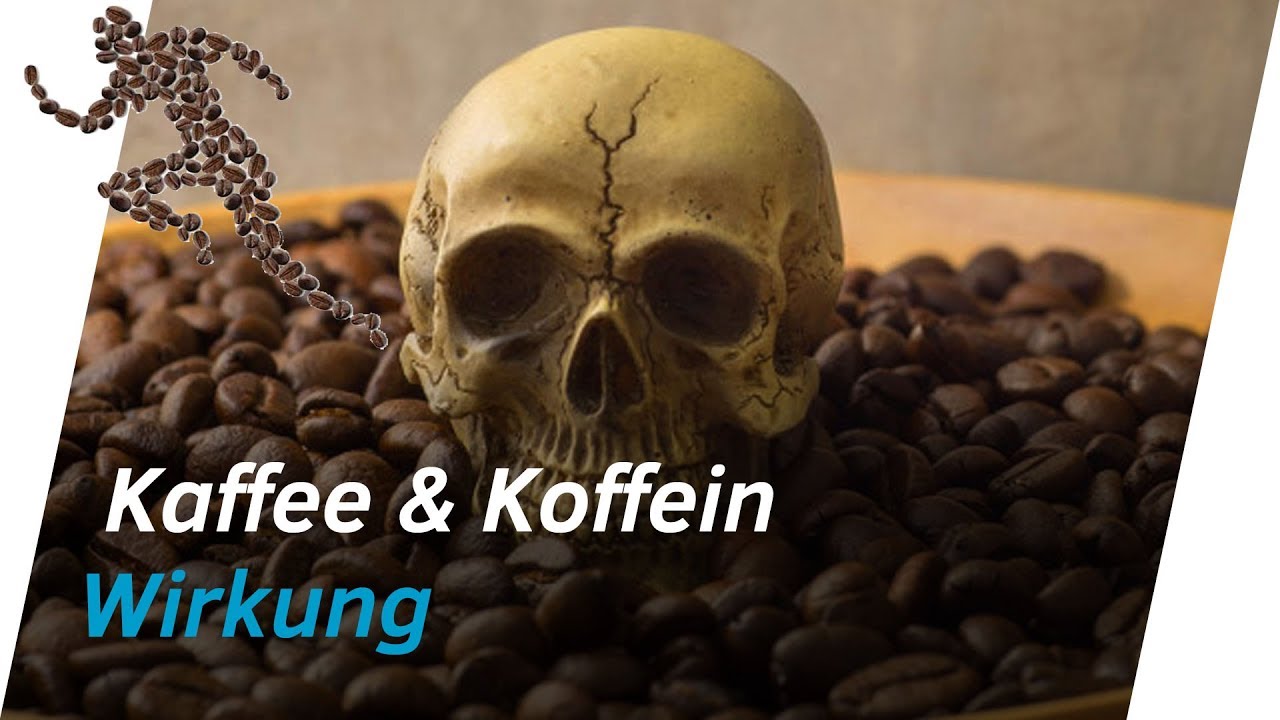 KOFFEIN - Wie SCHÄDLICH ist es WIRKLICH? ☕️ | Bin ich süchtig ...