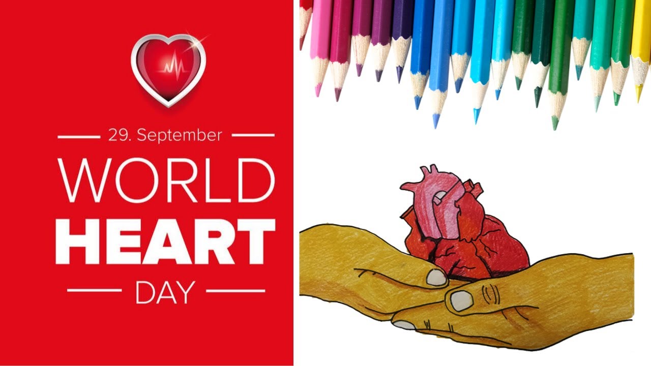 world heart day (29 September) / poster making on world heart day - YouTube
