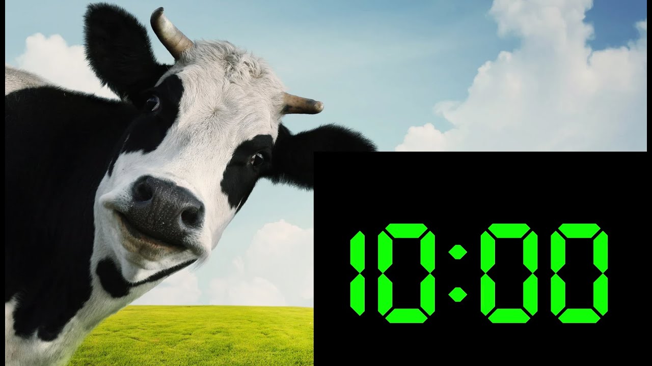10 min Cow Countdown Timer - YouTube