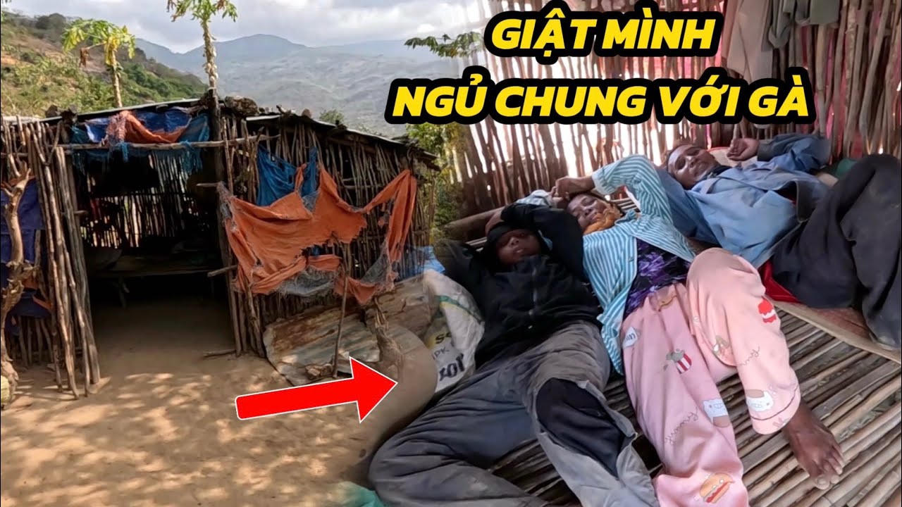 HẾT HỒN Phát Hiện Cảnh Tượng Ngủ Chung Với GÀ Trong ngôi Nhà Rách nát ...