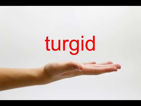How to Pronounce turgid - American English