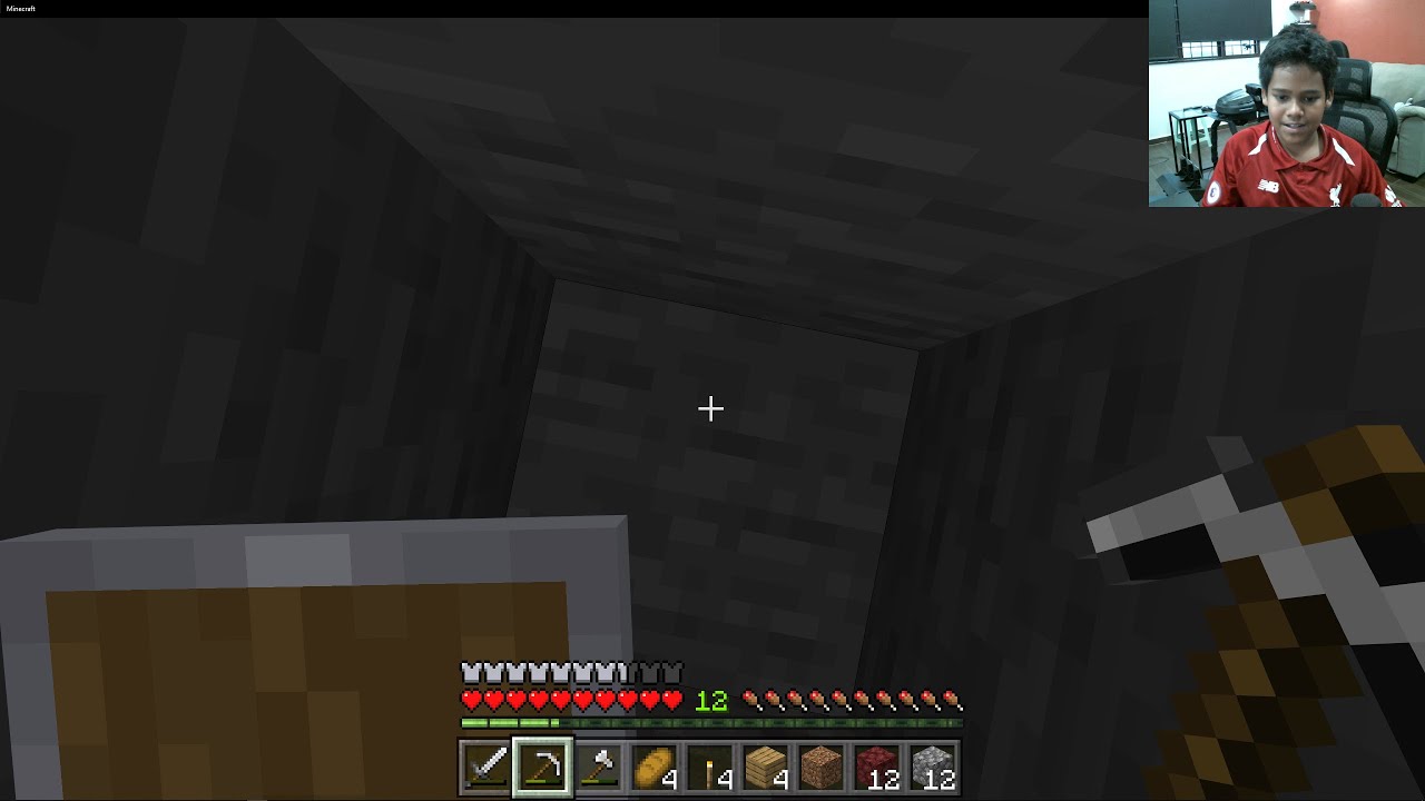 Minecraft Episode 9 : Digging Straight Down - YouTube