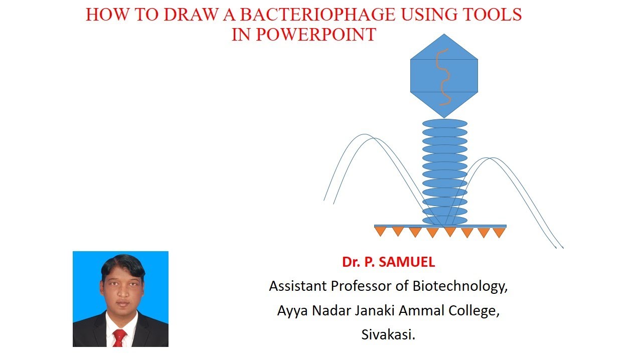 How to draw a bacteriophage? - YouTube