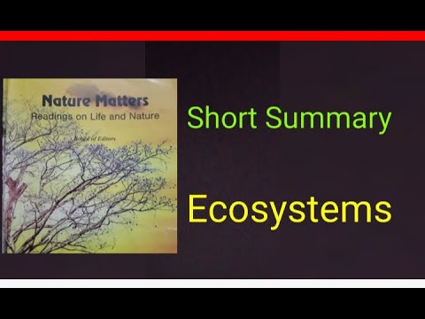 Short Summary. 'Ecosystems' - YouTube