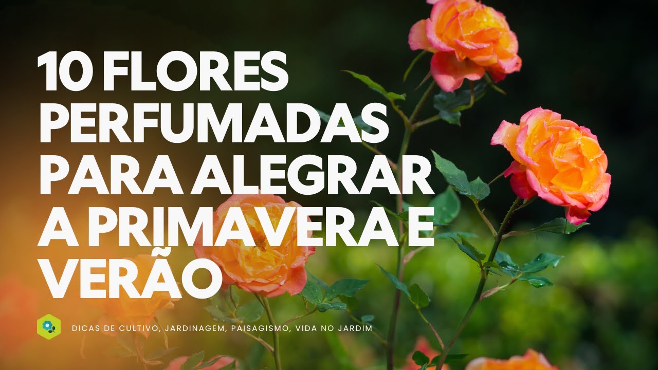 10 FLORES PERFUMADAS para ALEGRAR a PRIMAVERA e o VERÃO - YouTube