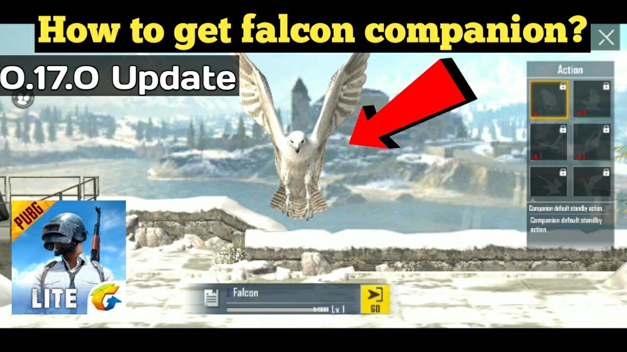 How to unlock falcon companion in pubg mobile lite?How to get falcon ...