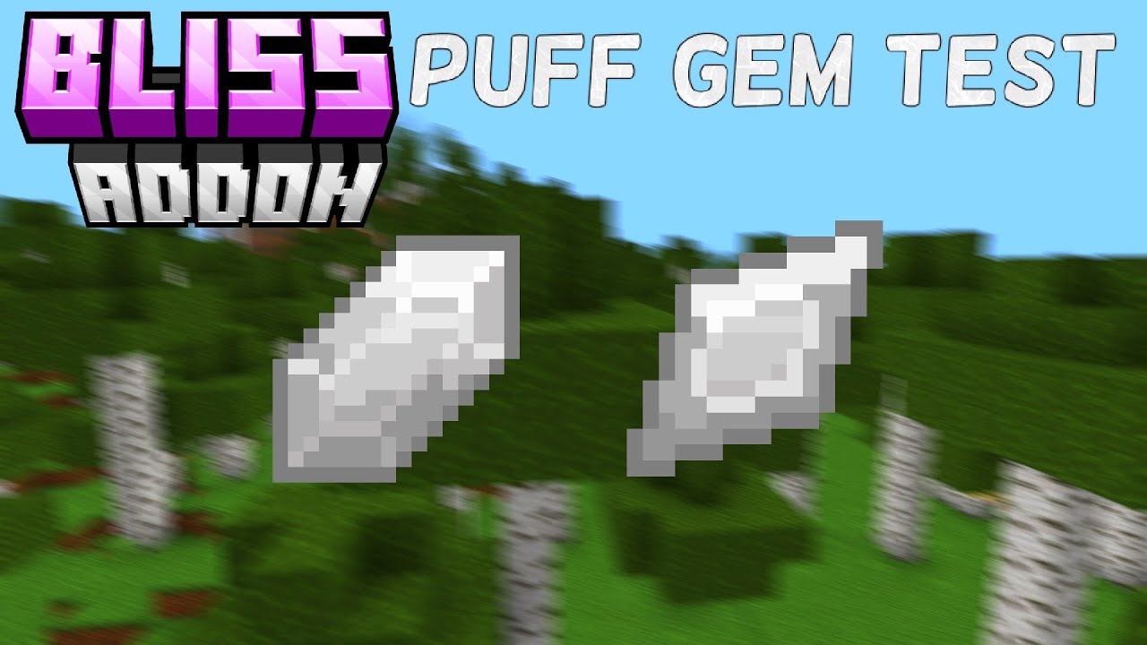 Puff Gem Bliss SMP Bedrock Test - YouTube