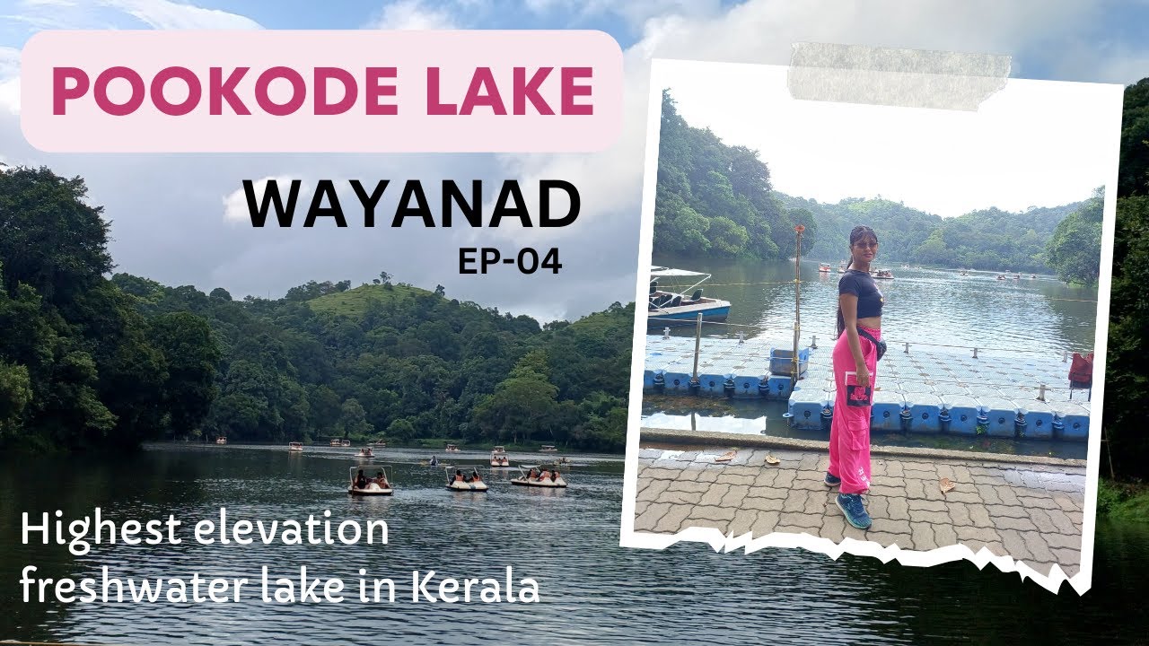 POOKODE LAKE || Popular lake in Wayanad || Places to visit in Wayanad ...