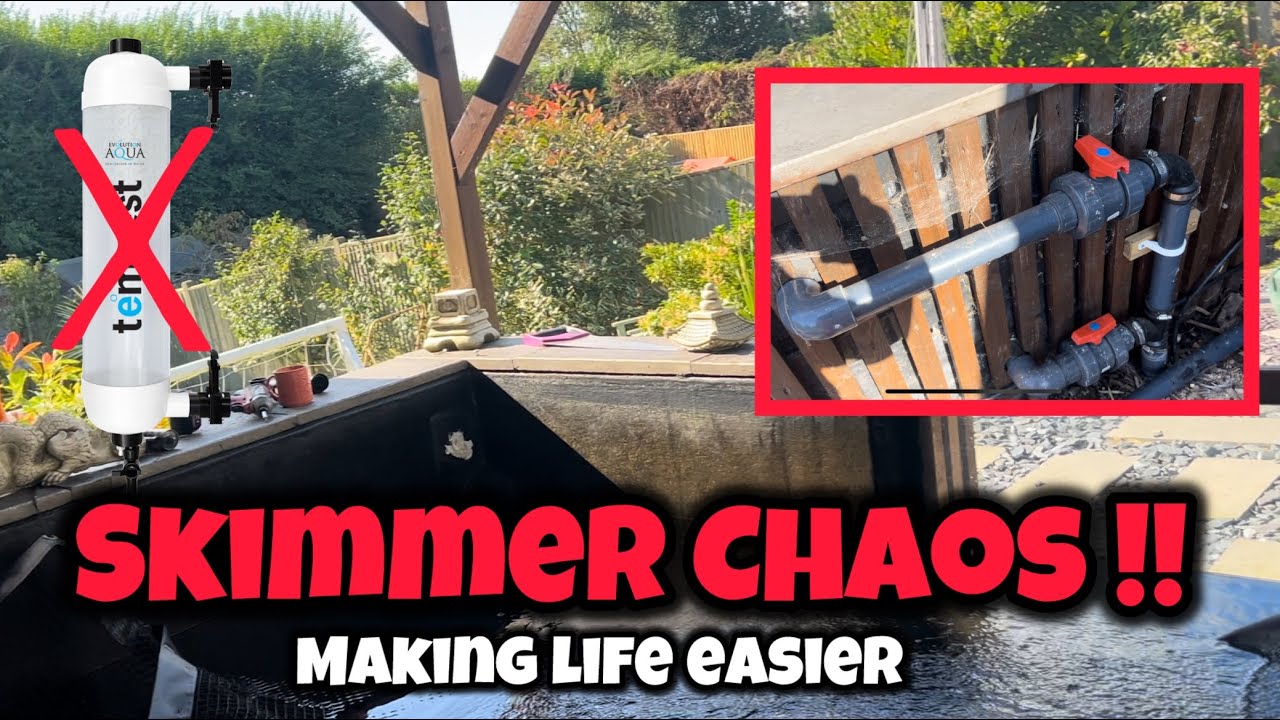 Skimmer Chaos - Running Pond skimmer to Drum Filter & Bye bye Tempest ...