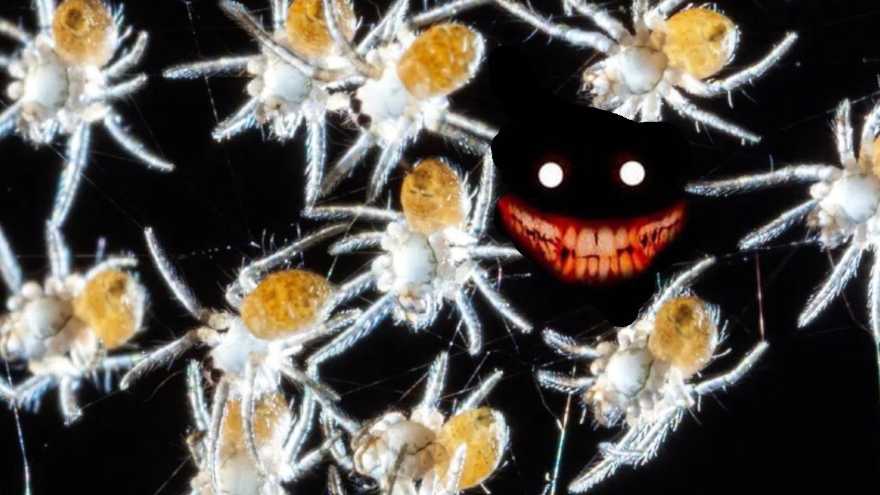 Ghostin and Boastin about Spiders - Phasmophobia - YouTube