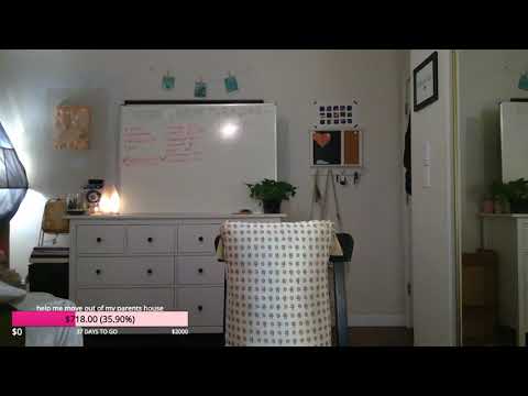 See What I Can Find In The Way