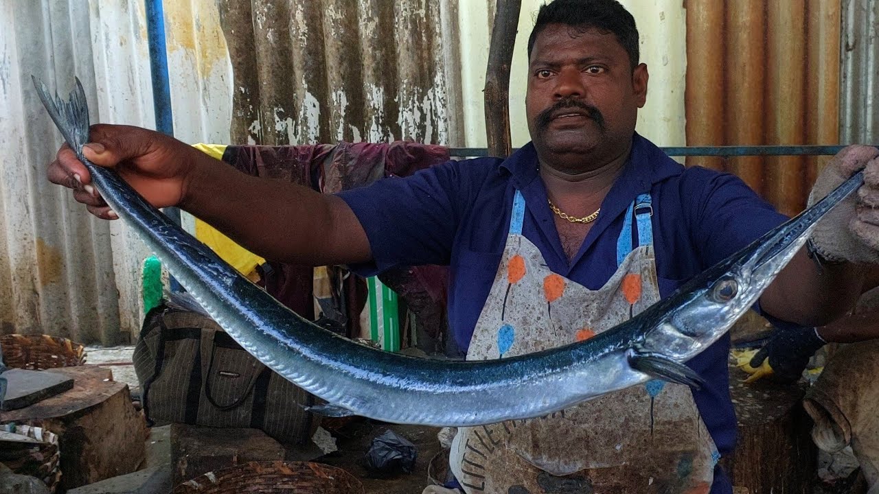 🤯OOSI KOLA FISH|KASIMEDU EXPERT FISH CUTTER |SPEED SELVAM FISH CUTTING ...
