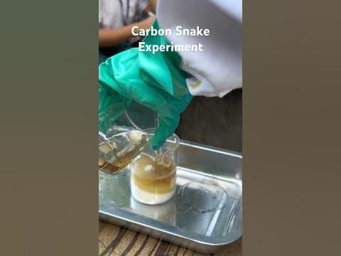 Carbon Snake Experiment (Sugar + Sulfuric Acid) #chemistry #grade10science #science - YouTube