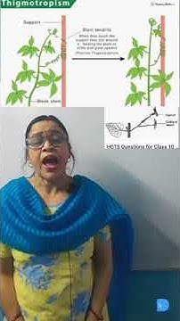 Hot question for class-10| Thigmotropism | Digital generation - YouTube