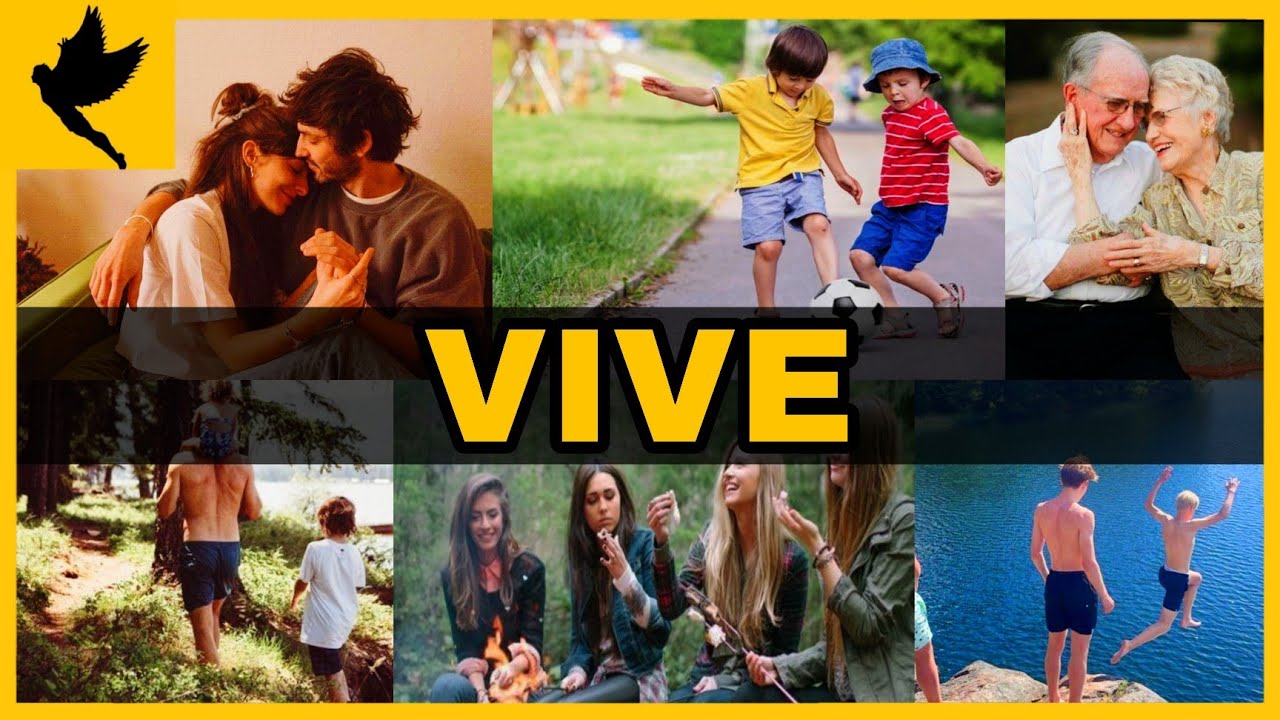 Vive. - YouTube