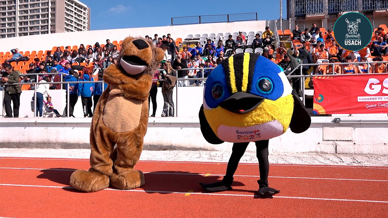 Inauguración de la pista atlética Usach - YouTube