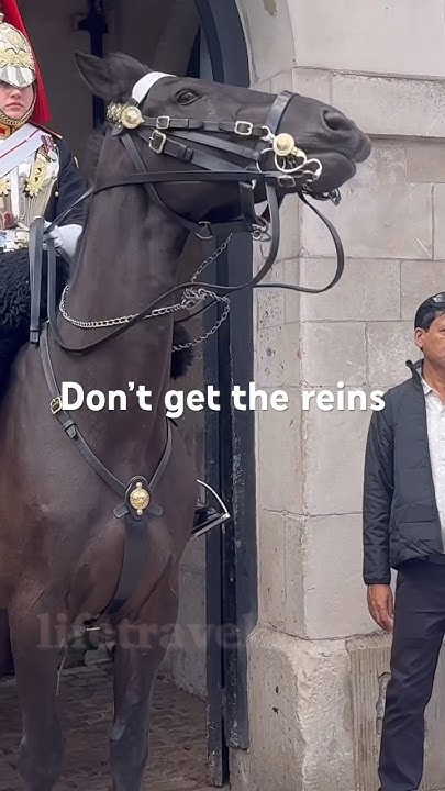 Silly Idiot grabbed the reins and provoked the king’s guard and horse, King’s guard, Royal guard ...