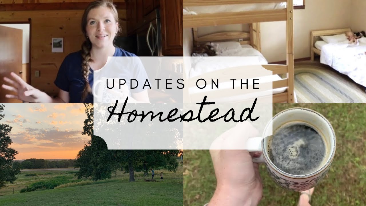 Homestead Updates | Getting Moved in Our New Farmhouse | Updating the ...