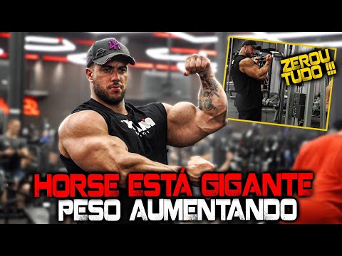 HORSE ESTÁ GIGANTE - ZEROU TUDO NA ACADEMIA !!!