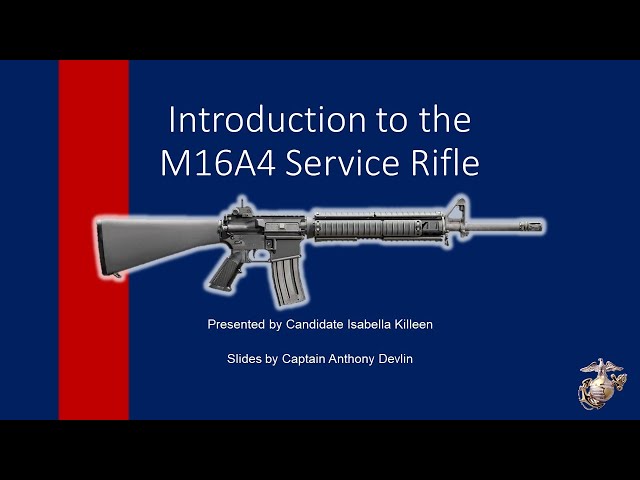 M16a4 Service Rifle Parts
