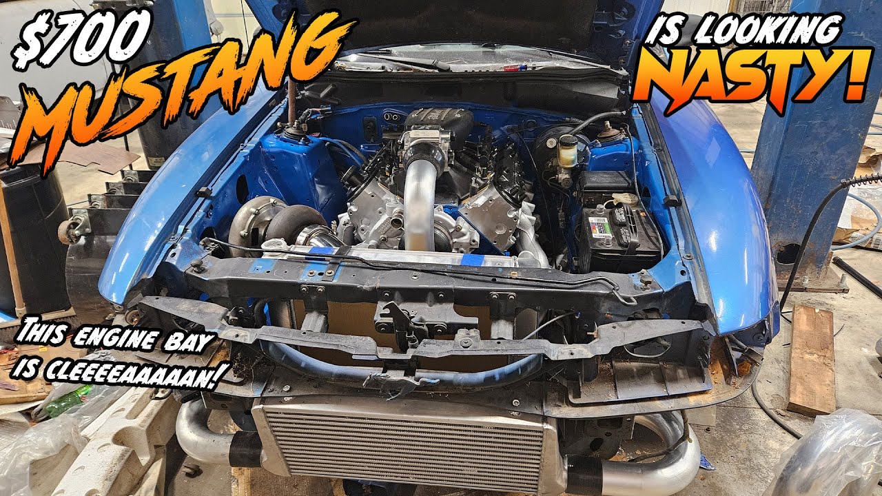 This Budget Mustang Build Is Looking F**KING SICK! Dirt Cheap Street ...