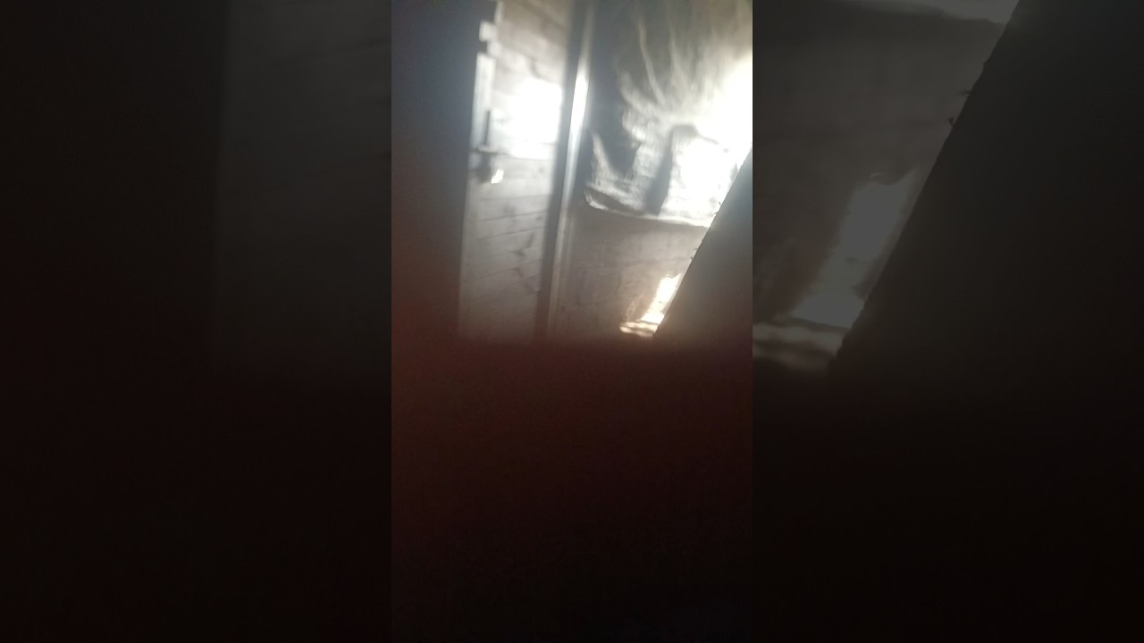 November 22, 2024 - YouTube