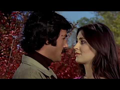 Ferdi Tayfur - Seni Dilendim