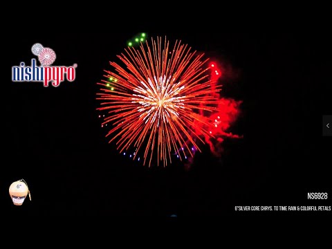 NS6928 6" Silver Core Chrys. To Time Rain & Colorful Petals - YouTube