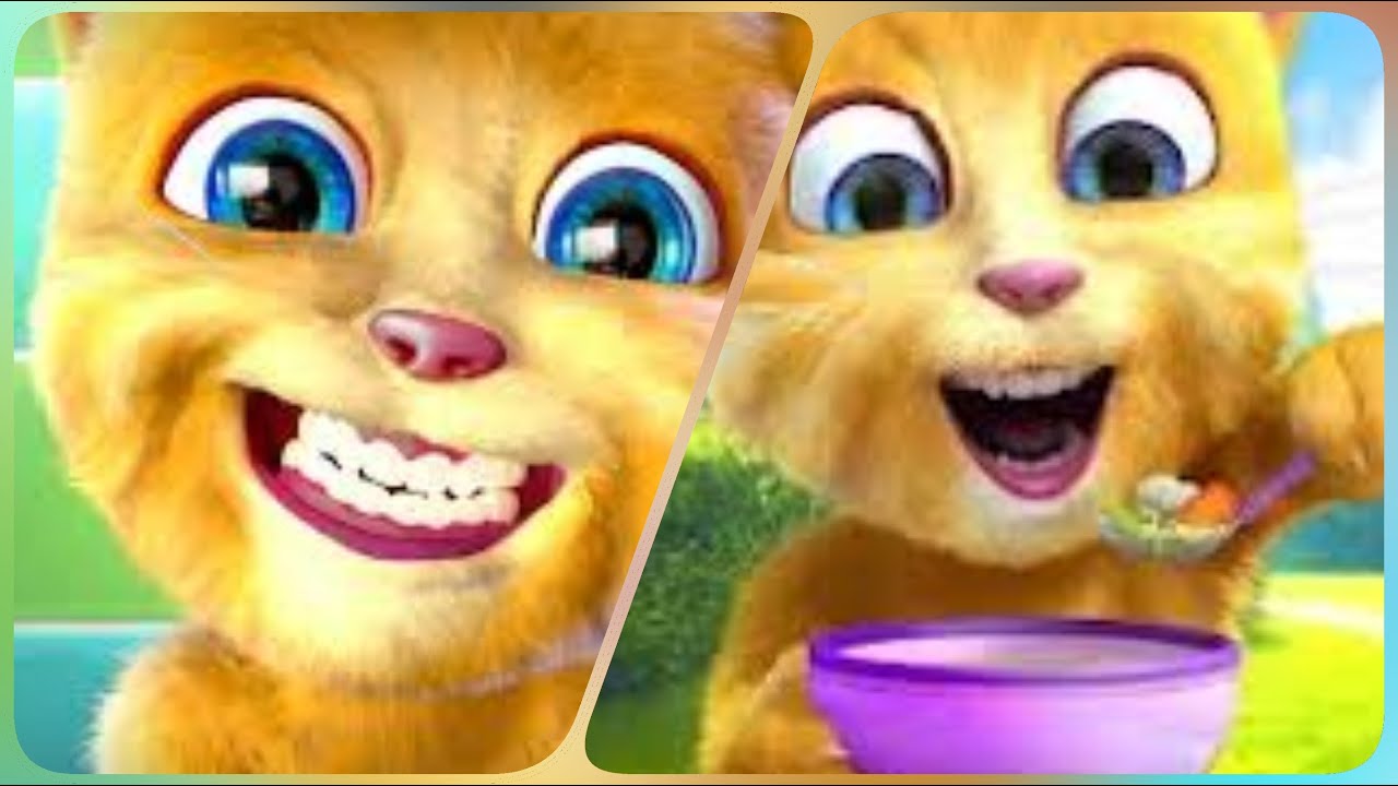 TALKING GINGER - YouTube