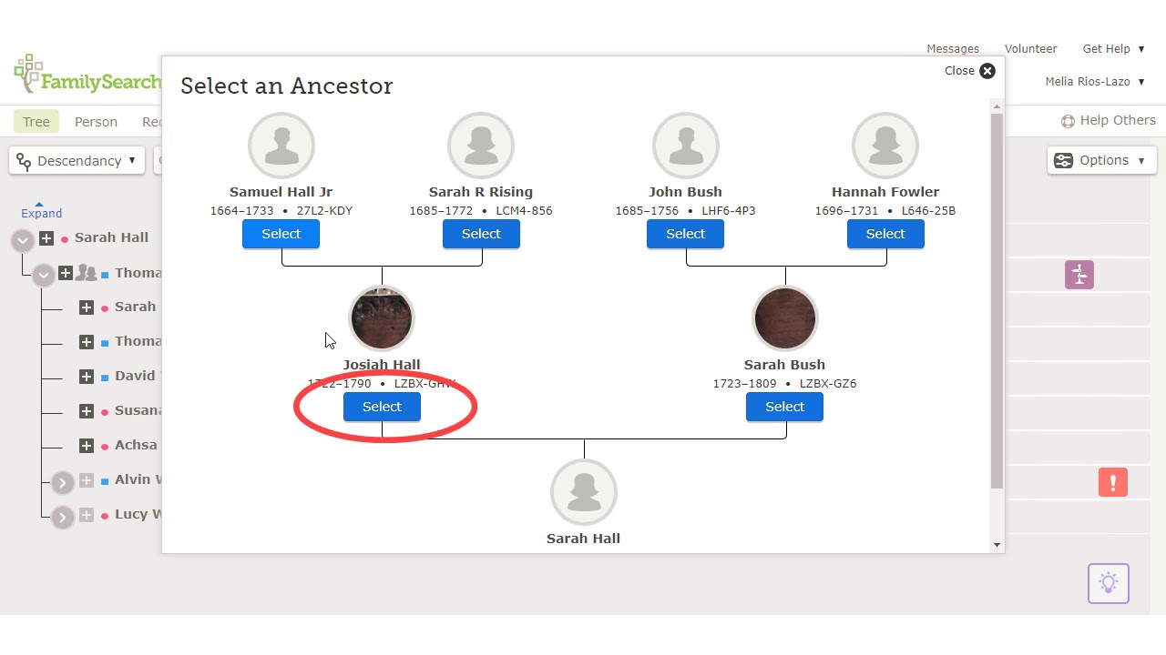 How to Use the Different Family Tree Views in FamilySearch - YouTube